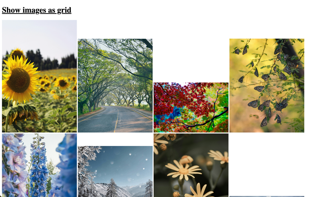 How to display a grid of images