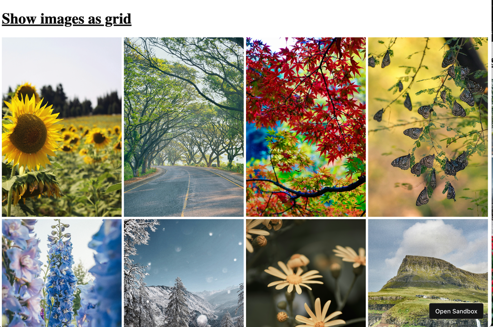 How to display a grid of images